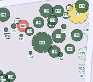 Ezytreev tree management software - arb.company