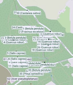Ezytreev tree management software - arb.company