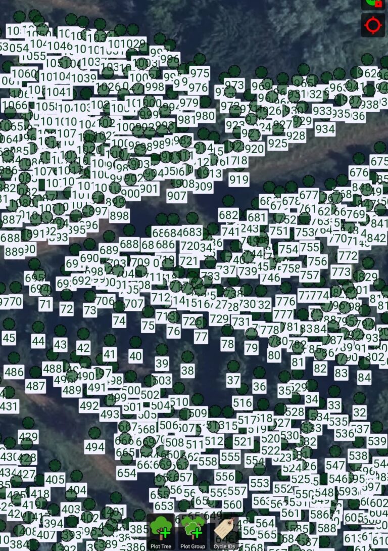 Ezytreev tree management software - arb.company